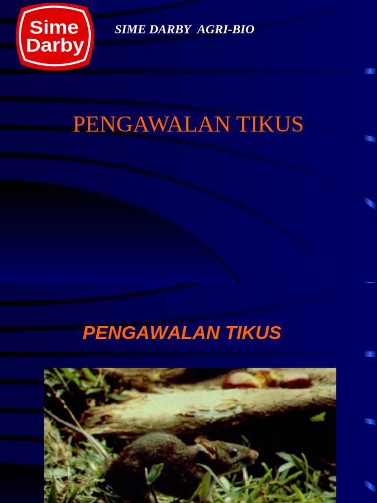 Pengawalan Tikus | PDF