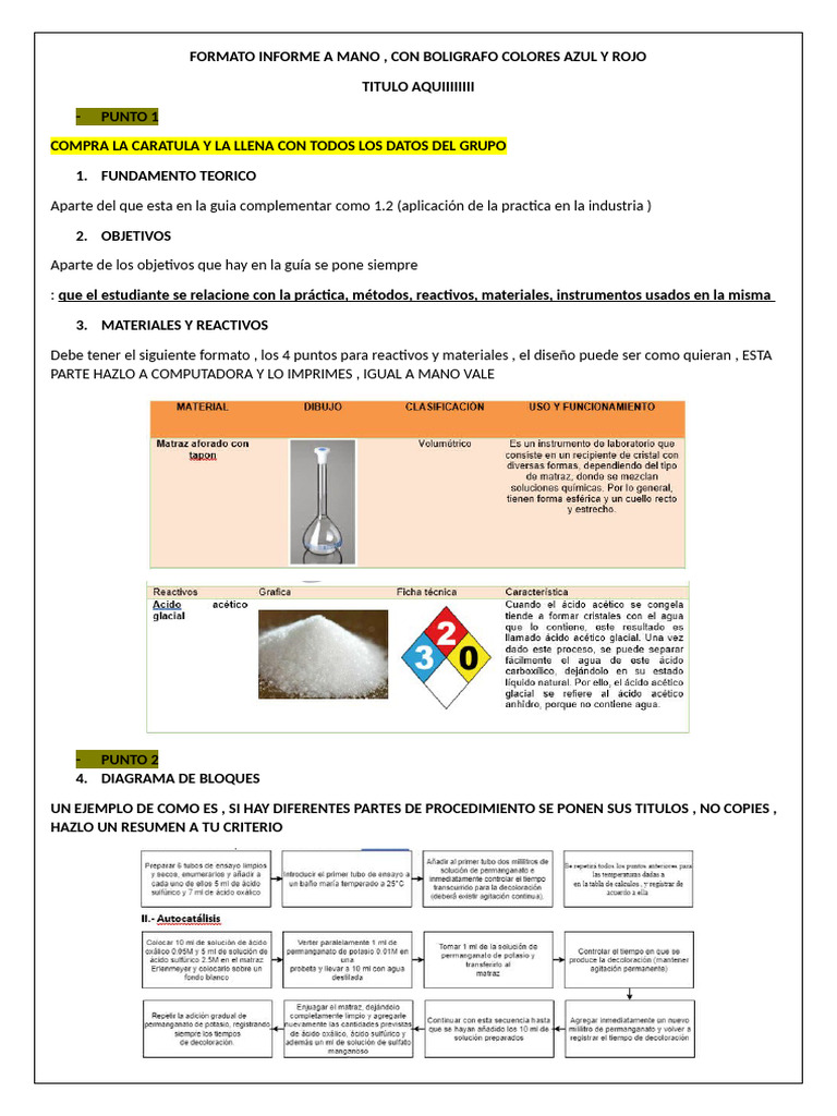 FORMATO INFORME A MANO | PDF