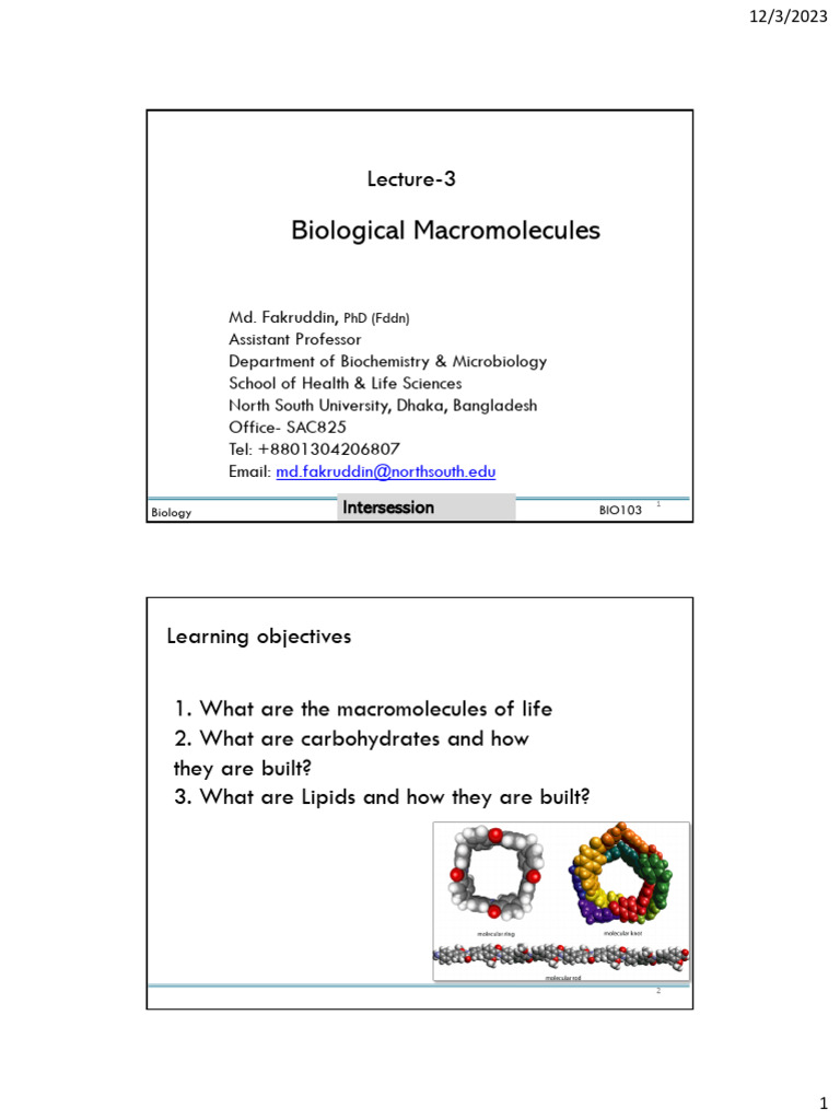 Biological Macromolecules Overview | PDF | Rna | Carbohydrates