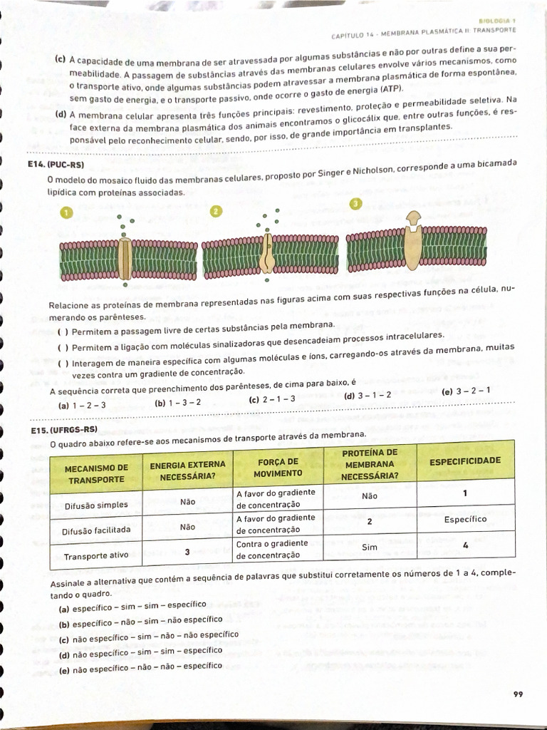 Capítulo 14 - Membrana Plasmática Ii Transporte | PDF