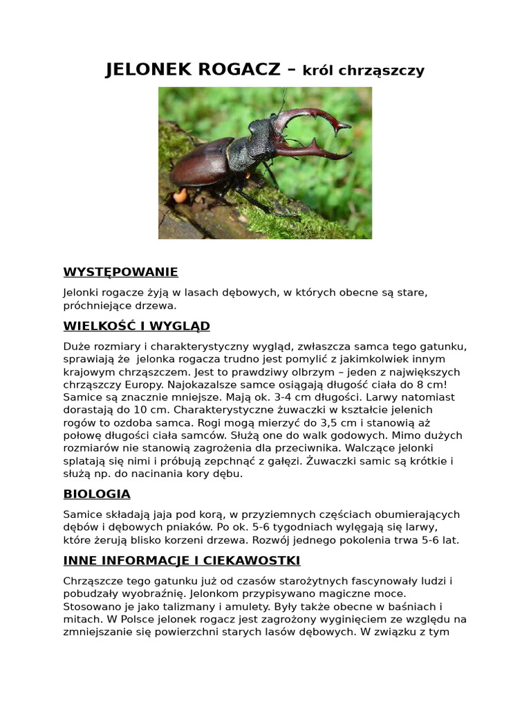 Jelonek Rogacz | PDF