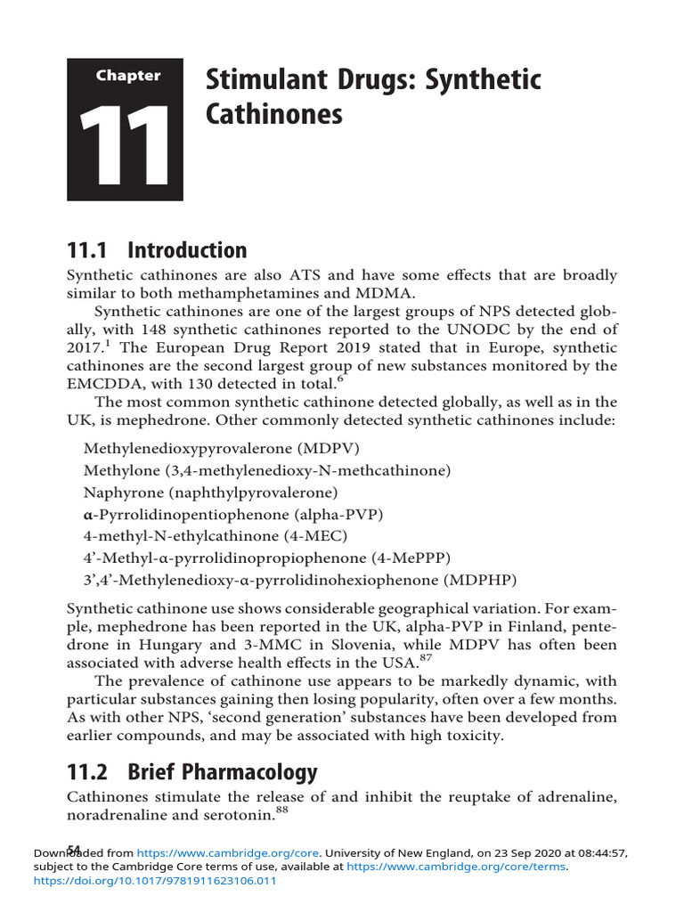 Synthetic Cathinones: Effects and Risks | PDF | Stimulant | Mdma