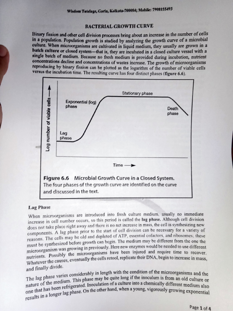 Bacterial Growth Curve | PDF