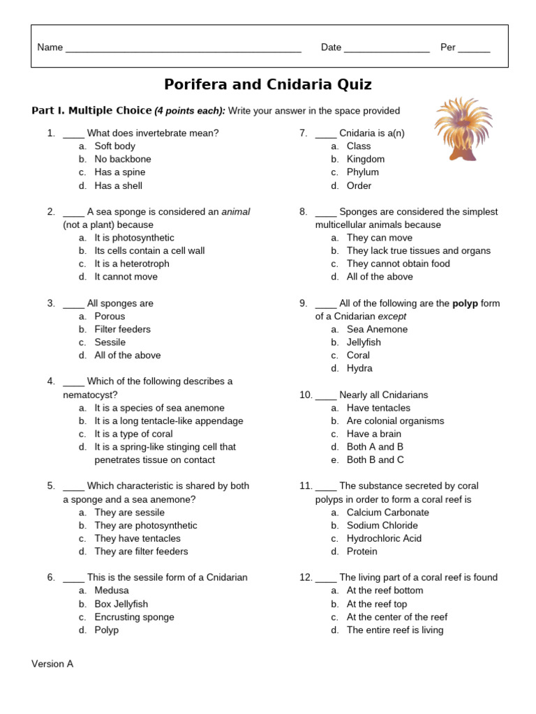 Porifera Cnidaria Quiz A | PDF | Sponge | Coral
