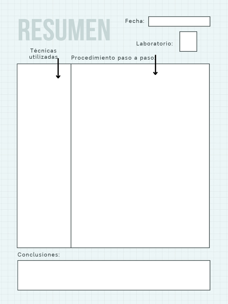 Resumen Lab ZM | PDF