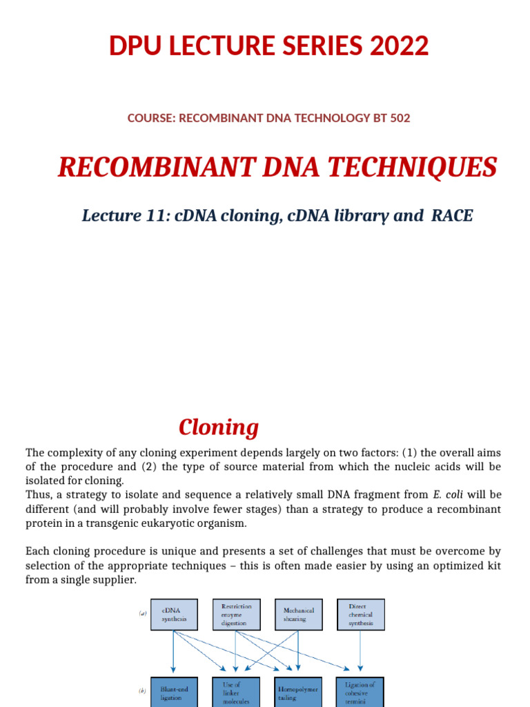 Lecture 11 cDNA cloning, cDNA library, RACE | PDF | Complementary Dna | Molecular Cloning