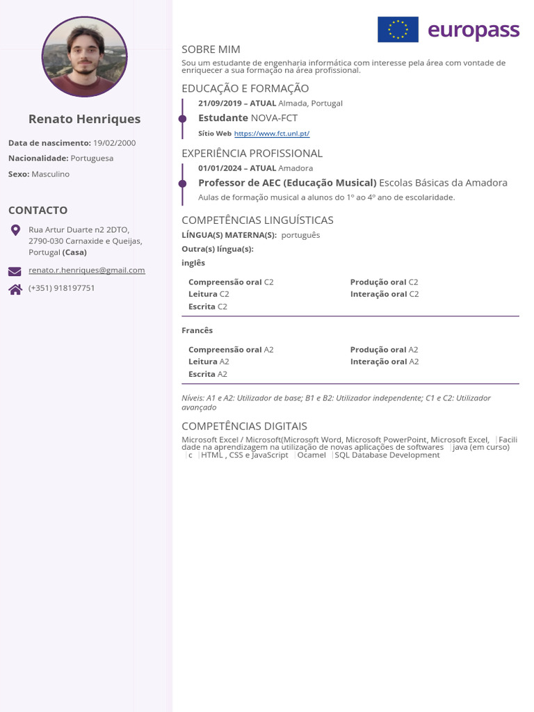 CV Renato Henriques | PDF