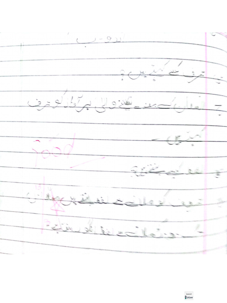 Urdu B notes class 3 | PDF