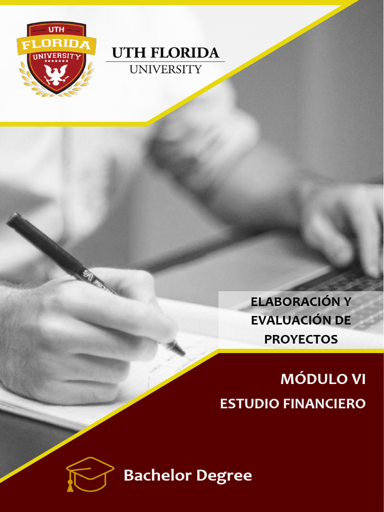 Módulo VI Elaboración y Evaluación de Proyectos | PDF | Valor presente neto | Inflación