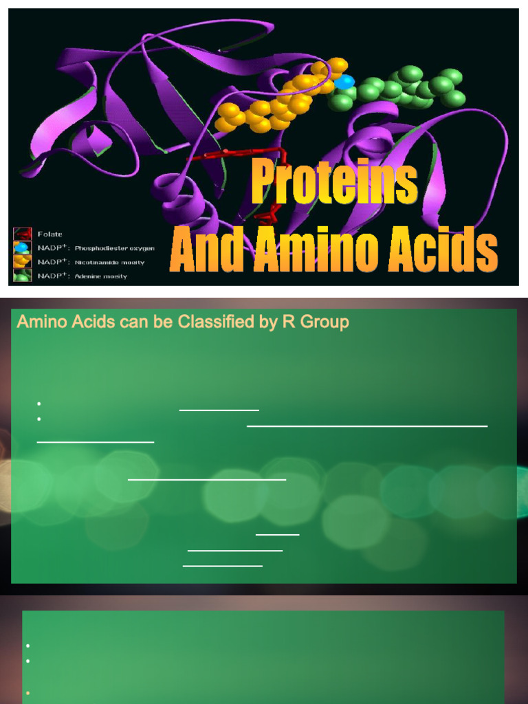 5006 4d. Peptide Chain Buffer System and Nomenclature Additional ...