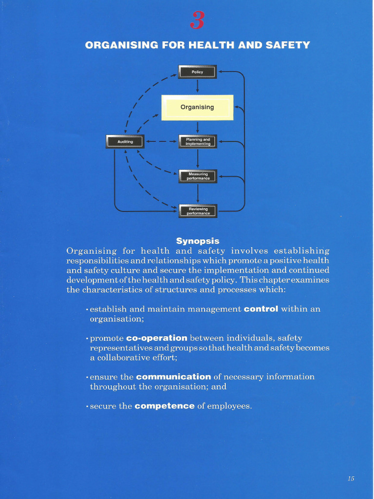 HSG 65 First Edition Part 3 Organising | PDF