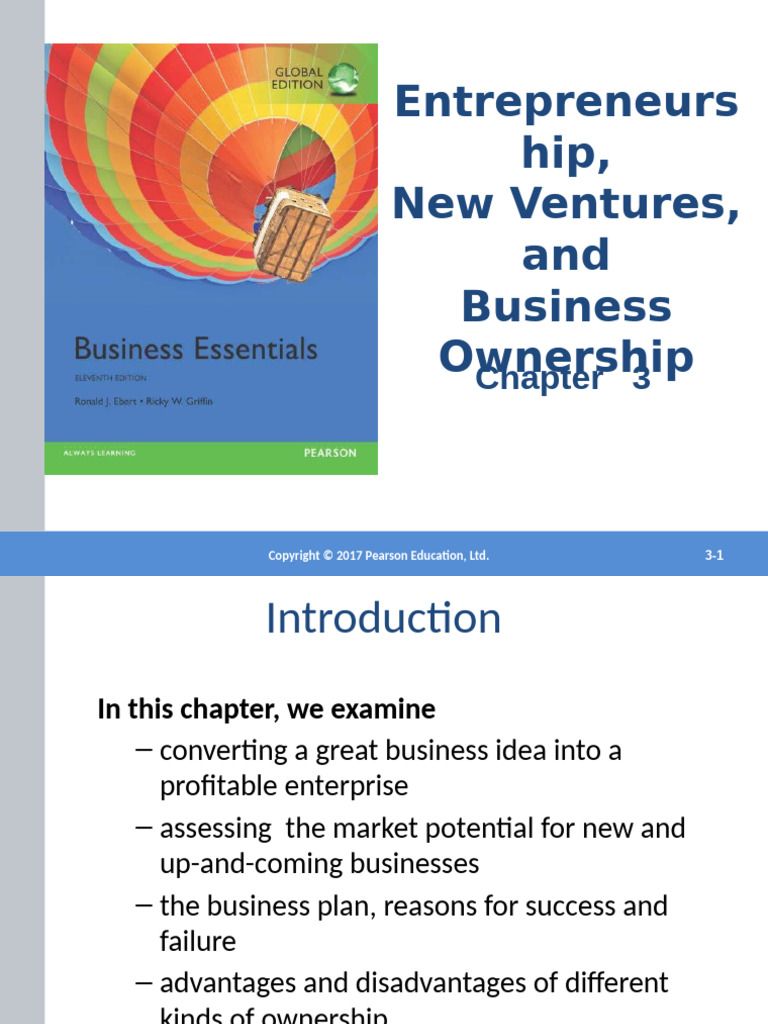 Ebert Be11e 03 | PDF | Entrepreneurship | Partnership