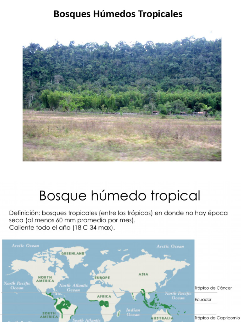 Bosque Humedo Tropical-Parte1-24 | PDF | Ciencia y matemáticas | Tecnología