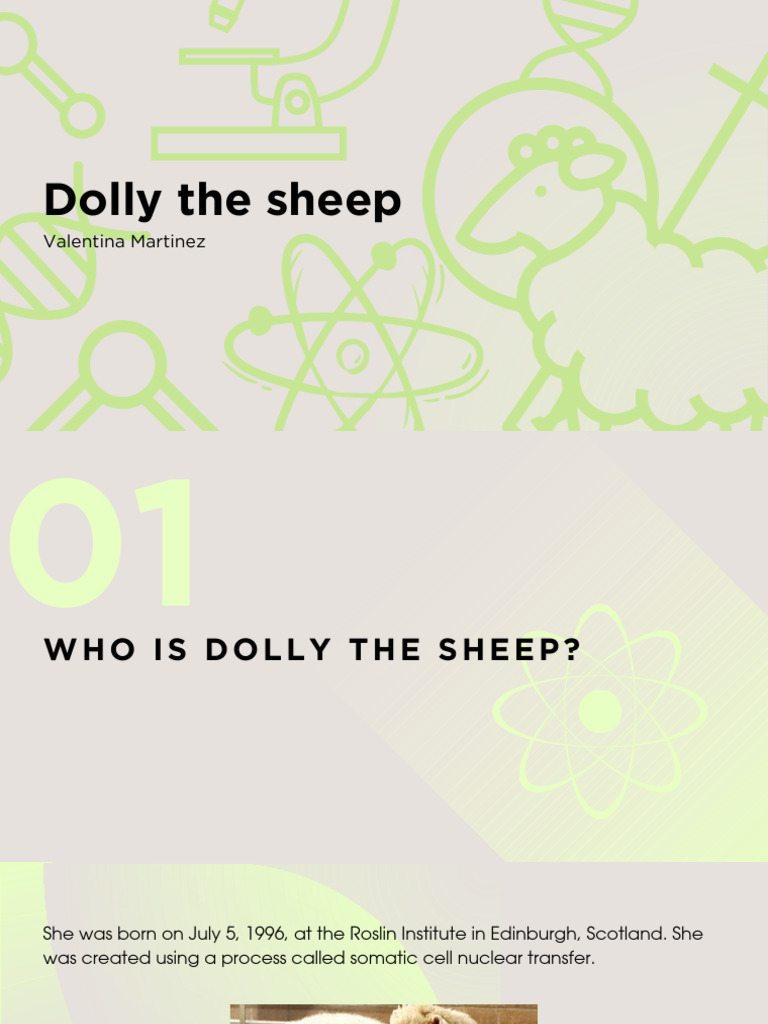 Dolly the Sheep.pdf | PDF