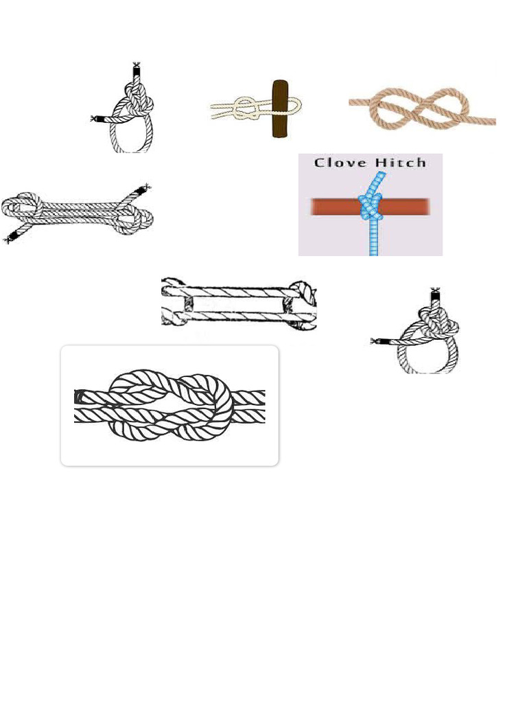 Scout Print | PDF