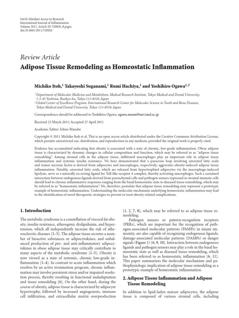 05 - Adipose Tissue Remodeling As Homeostatic Inflammation | PDF ...