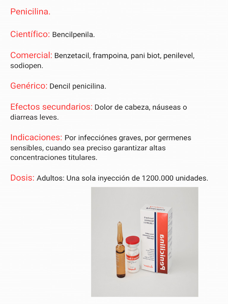 Flaca 240309 104235 | PDF