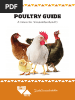 Road Runner Chicken Farming Guide | PDF | Chicken | Egg