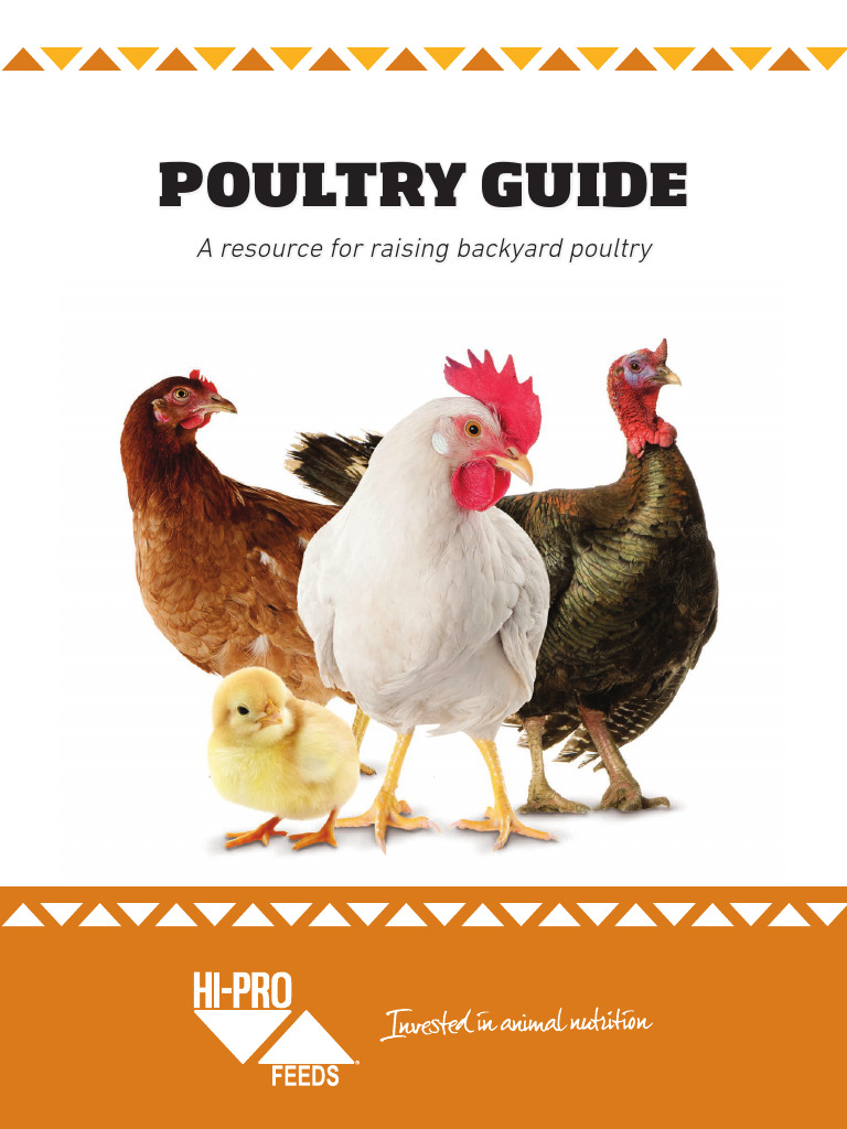 Backyard Poultry Farming Guide | PDF | Chicken | Poultry Farming