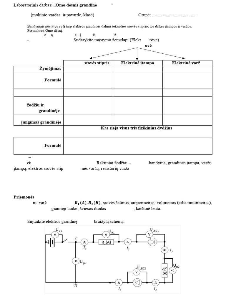 Laboratorinis Darbas Omo Denis 8 Klase | PDF