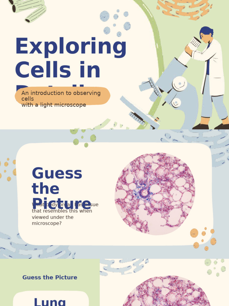 Exploring Cells in Detail Education Presentation in 0 Hand Drawn ...