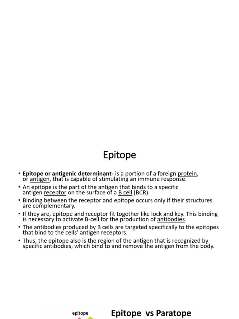 Understanding Epitopes and Antibody Types | PDF | Wellness