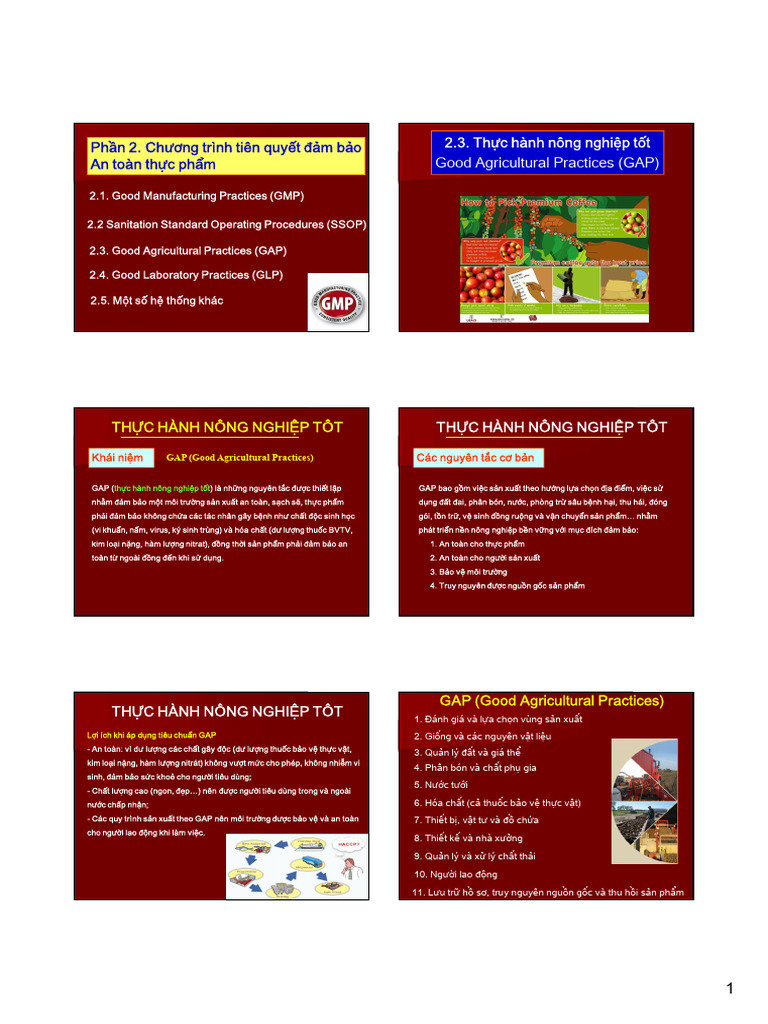 C6 P4 SV. GAP and Others | PDF