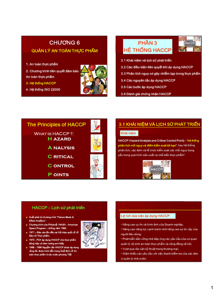 C6 P5 SV - Haccp | PDF