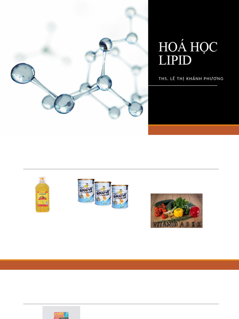 HOÁ HỌC LIPID | PDF