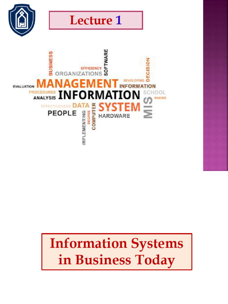 MIS2023-Lecture 1 | PDF | Information | System