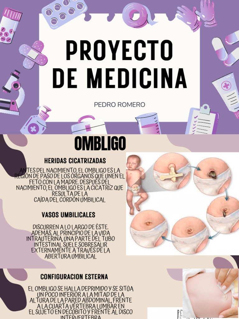 Anatomía del ombligo y regiones adyacentes | PDF | Abdomen | Intestino ...