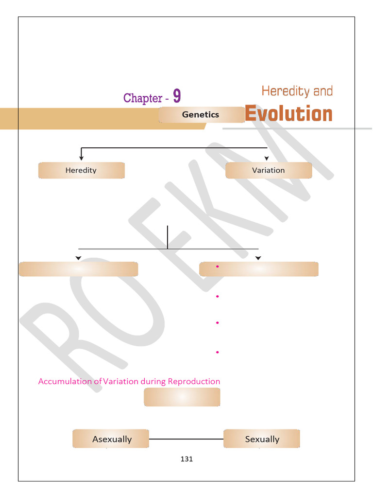 Evolution Hereditary | PDF | Dominance (Genetics) | Zygosity