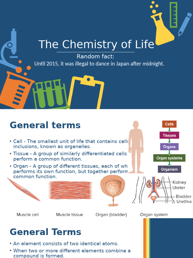 The Chemistry of Life | PDF | Enzyme | Carbohydrates