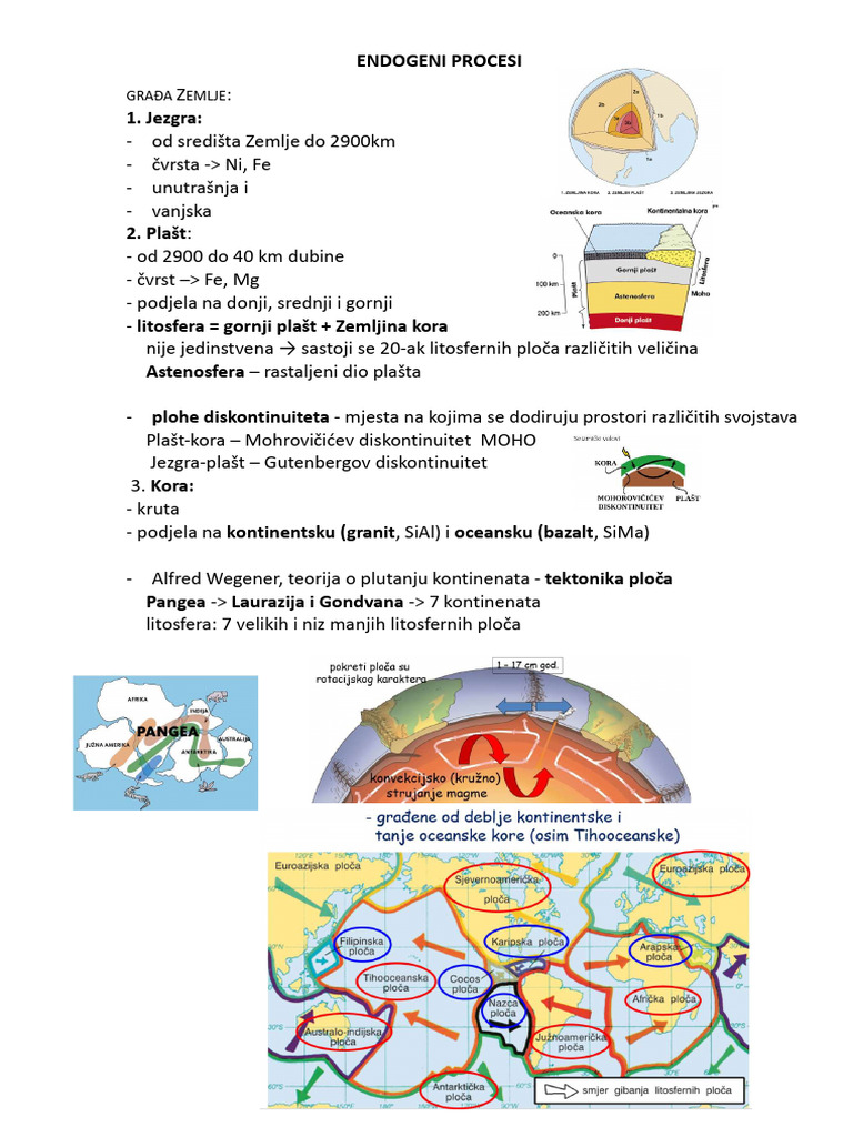 4 - Endogeni Procesi | PDF