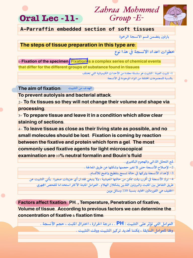 Oral Histology Lec 11 | PDF