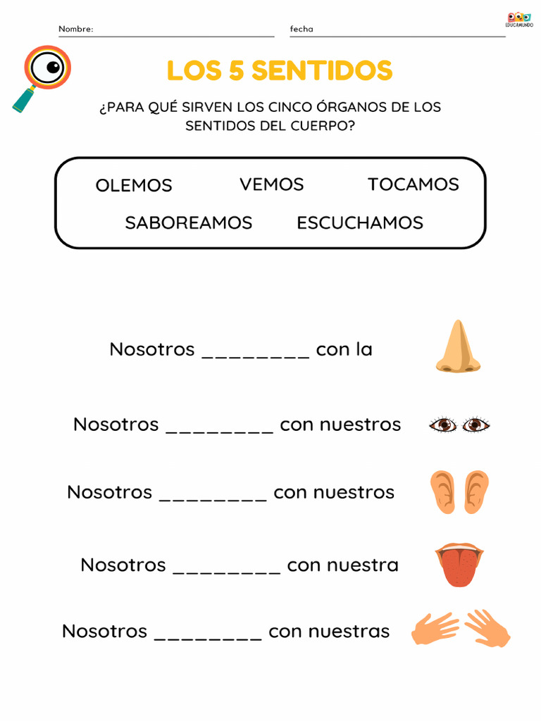Los 5 Sentidos Actividades | PDF