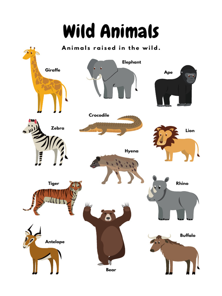 Wild Animals Poster - 20240916 - 210834 - 0000 | PDF