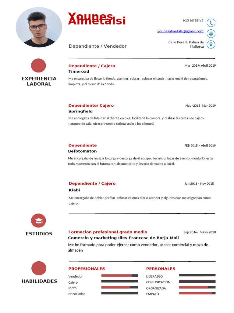 Plantilla-Modelo Curriculum | PDF