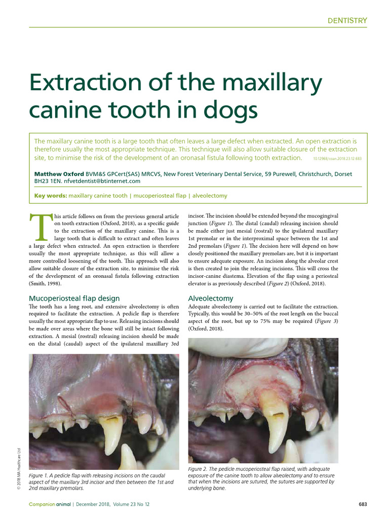 Extraction of The Maxillary Canine Tooth in Dogs | PDF | Dental Anatomy ...