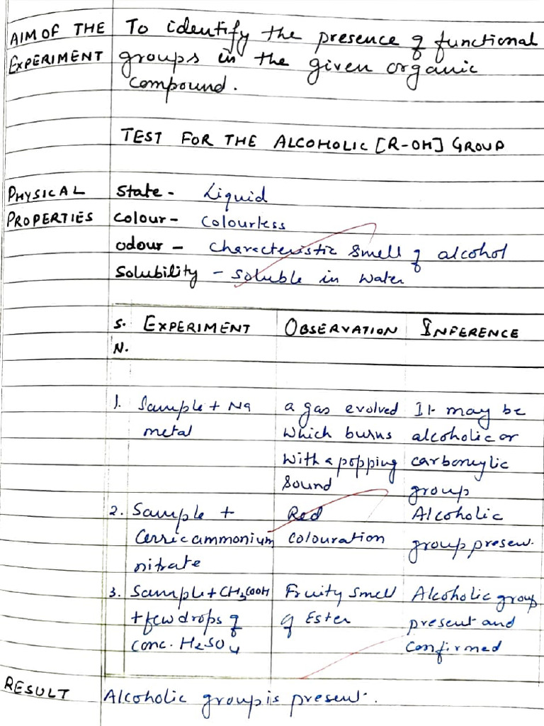 FUNCTIONAL GROUP EXPERIMENT | PDF