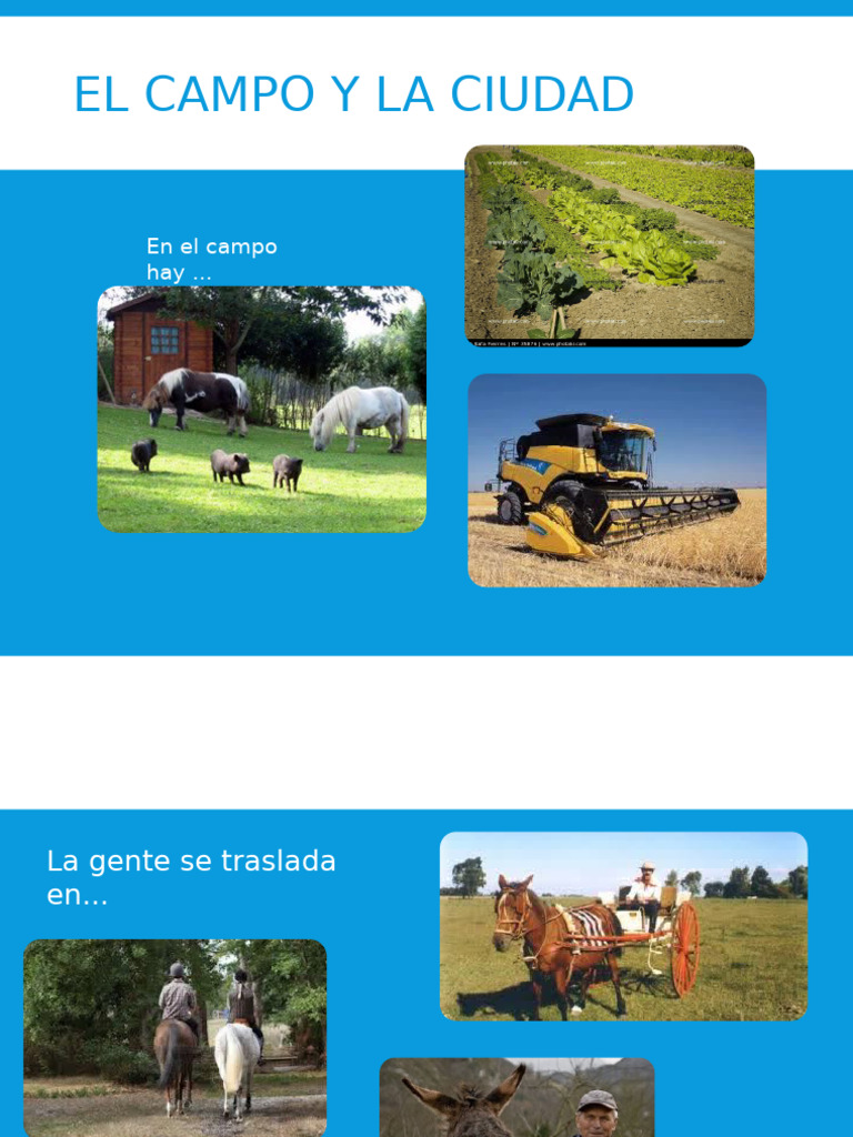 EL CAMPO Y LA CIUDAD | PDF