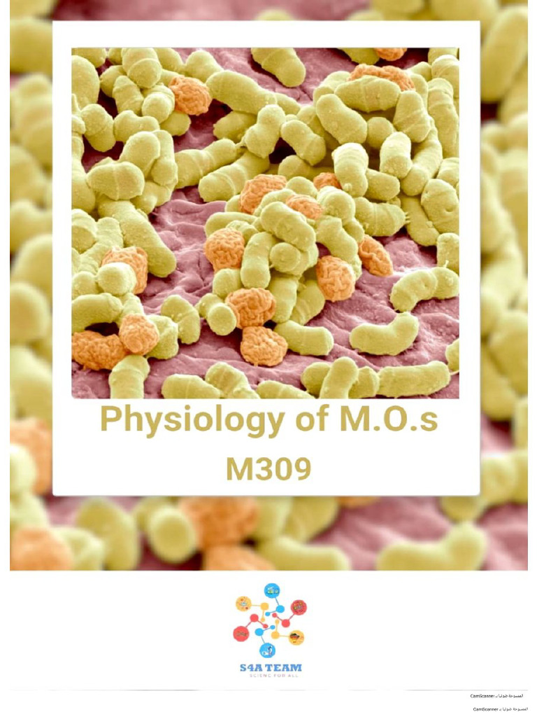 Lecture (4). Physiology of M.O | PDF