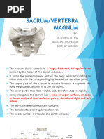 Preauricular Sulcus: Female Pelvis Study | PDF | Pelvis | Skeletal System