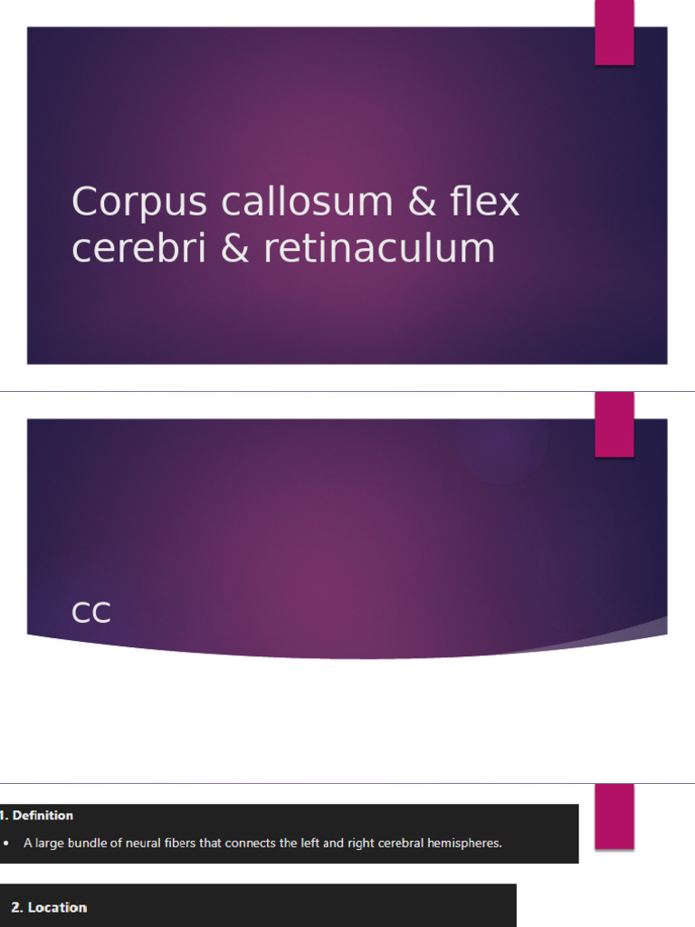 Corpus Callosum & Flex Cerebri & Retinaculum | PDF