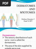 Dermatomes and Myotomes Overview | PDF | Arm | Musculoskeletal System