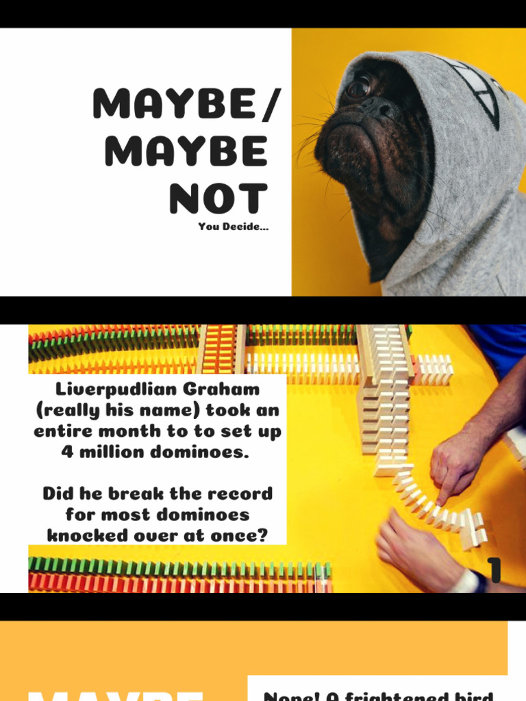 Maybe Maybe Not Game | PDF