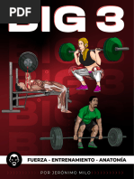 Guía Completa de Entrenamiento en El Gym | PDF