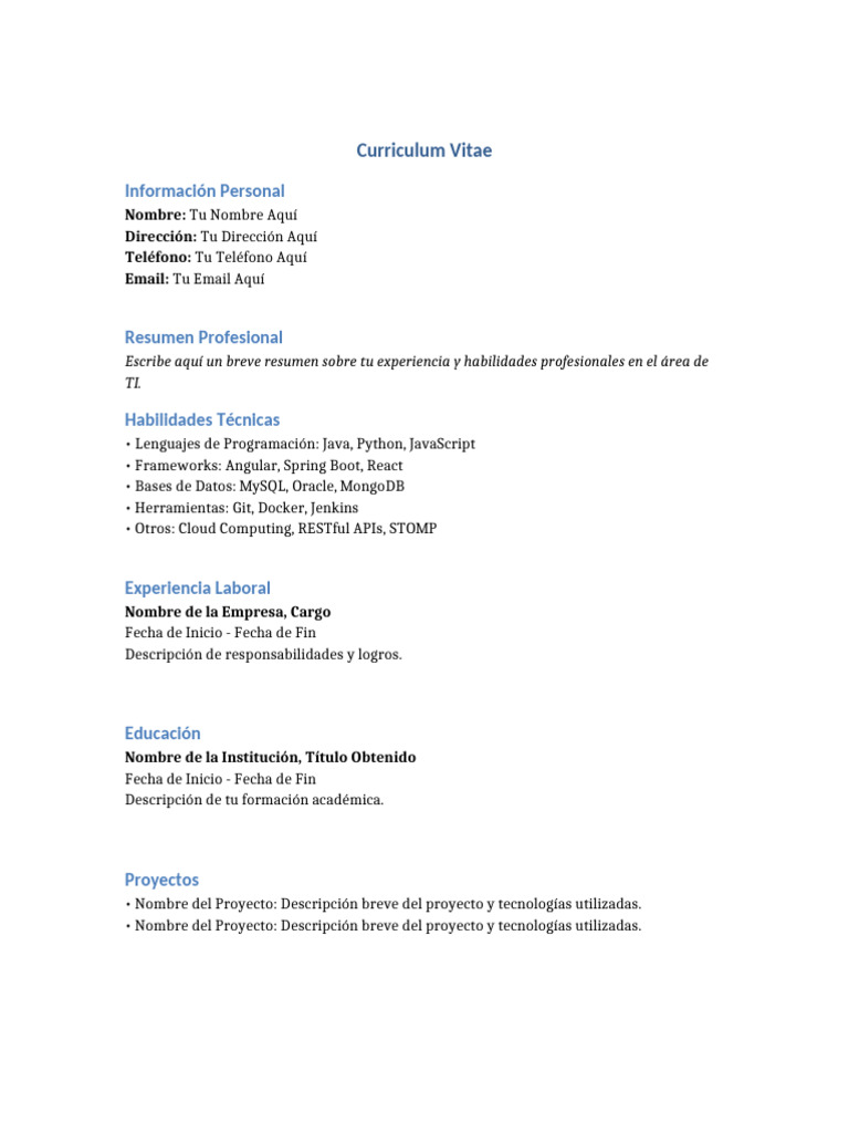 Curriculum Vitae IT Template | PDF | Crecimiento personal y profesional