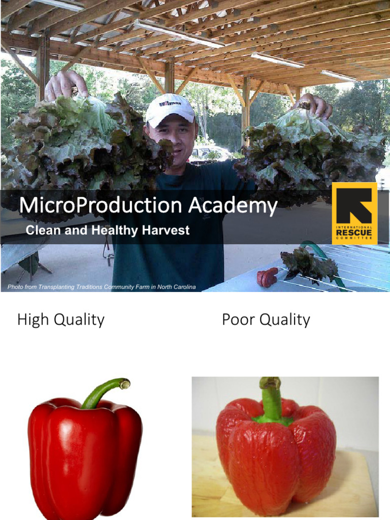 Clean Harvest Guide for Community Farms | PDF