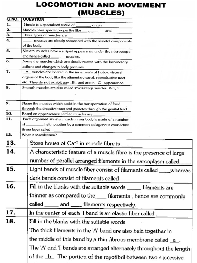 Test Locomotion and Movement | PDF